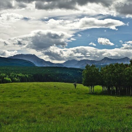 INOVA Geophysical | G3i® NXT